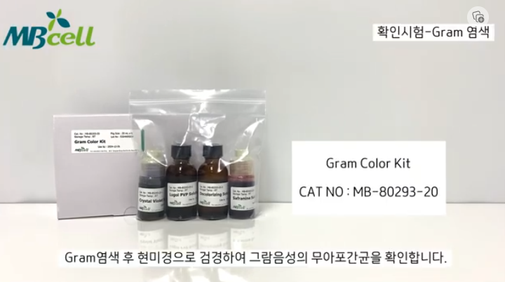 [식품공전] 비브리오 패혈증균 (Vibrio vulnificus) 확인시험/ 식품공전 실험 따라하기/ 식품기사 준비 : 네이버 블로그