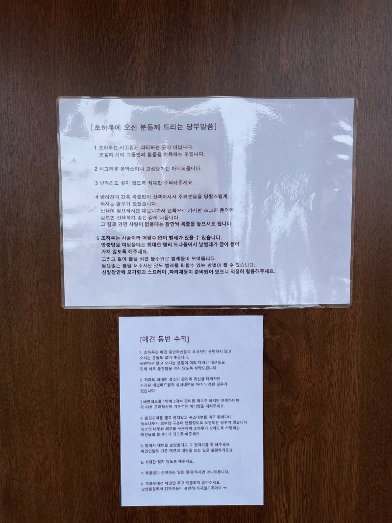 진천숙소추천 충북애견동반가능한 단독독채펜션 초하루펜션 Feat 내돈내산 방문후기 네이버 블로그