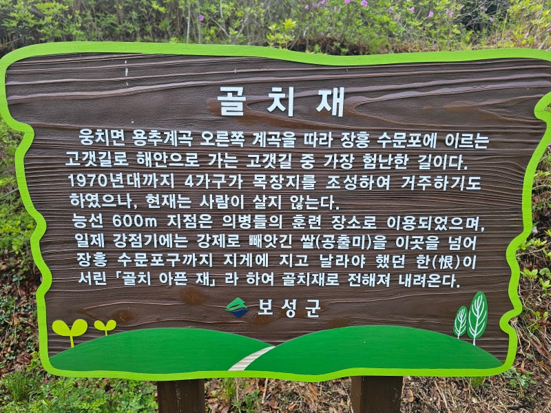 보성 일림산 철쭉 등산·산행 코스 철쭉제 문화행사·개화 현황 네이버 블로그