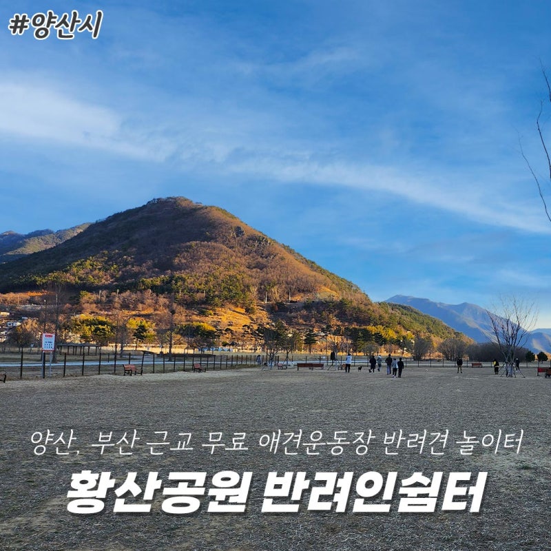 양산시 양산 부산 근교 무료 애견운동장 반려견 놀이터 황산공원 반려인쉼터 네이버 블로그