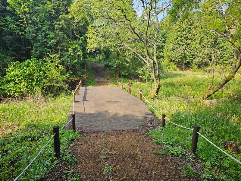 보성 일림산 철쭉 등산·산행 코스 철쭉제 문화행사·개화 현황 네이버 블로그
