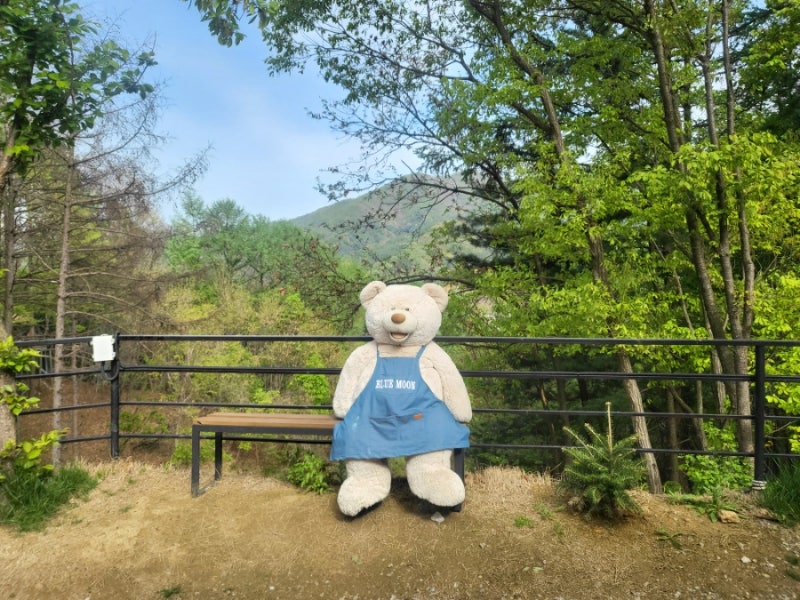 가평 블루문캠핑장 숲속13번 애견동반캠핑장 대만족후기 네이처하이크 에어텐트 63 네이버 블로그