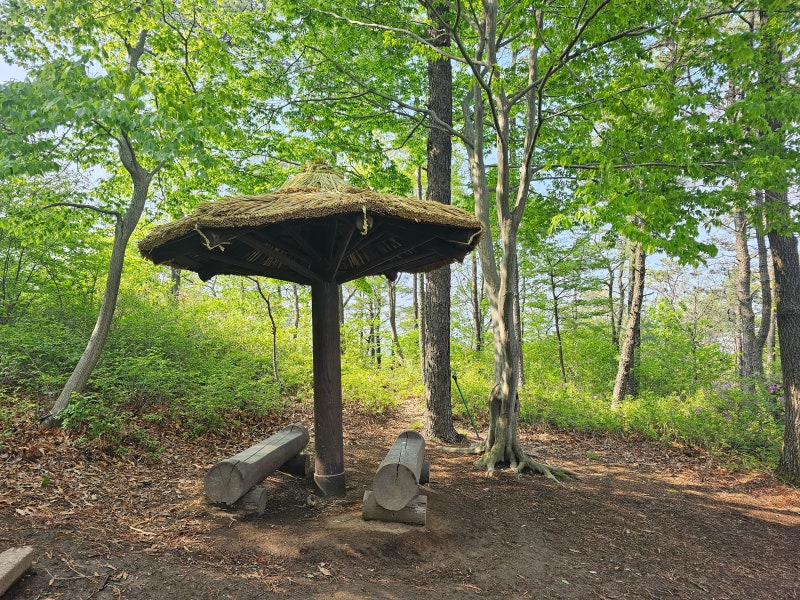 보성 일림산 철쭉 등산·산행 코스 철쭉제 문화행사·개화 현황 네이버 블로그