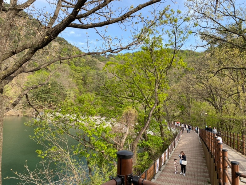 23 포천여행 산정호수 가족글램핑장 ⛺ 캠핑후기 산정호수 둘레길 산책 네이버 블로그