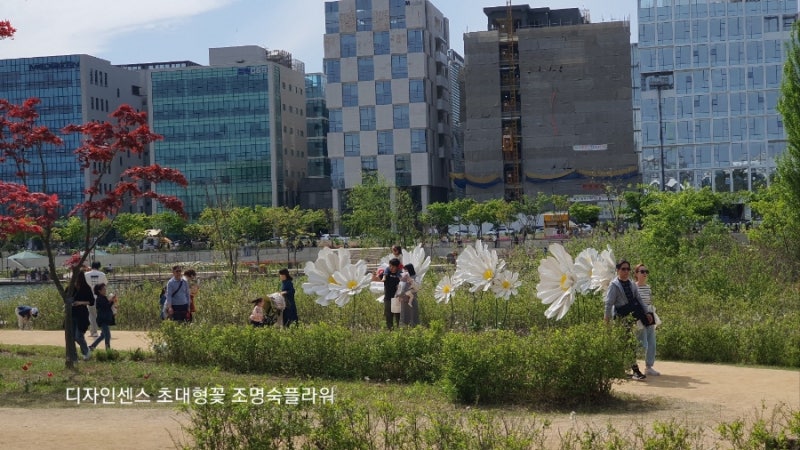 디자인센스 초대형꽃 조명숙플라워 에바폼꽃 초대형데이지 서울식물원 포토존제작 벽장식 인테리어꽃 자이언트플라워 테마공원 박람회