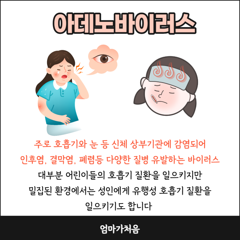 아데노바이러스 증상 성인 어린이집 눈곱 전염 잠복기 검사방법 비용 네이버 블로그