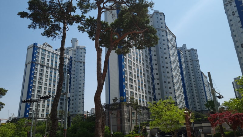 법인이 세입자인 경우 주택임대차보호법 적용 여부 네이버 블로그