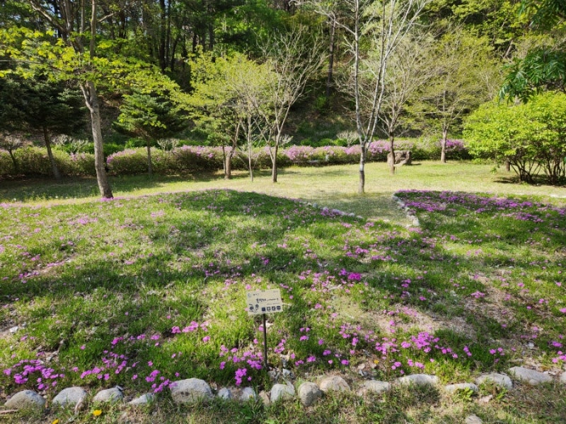 강원도 홍천 가볼 만한 곳 공작산 수타사 생태숲 걷기 좋은 길 네이버 블로그