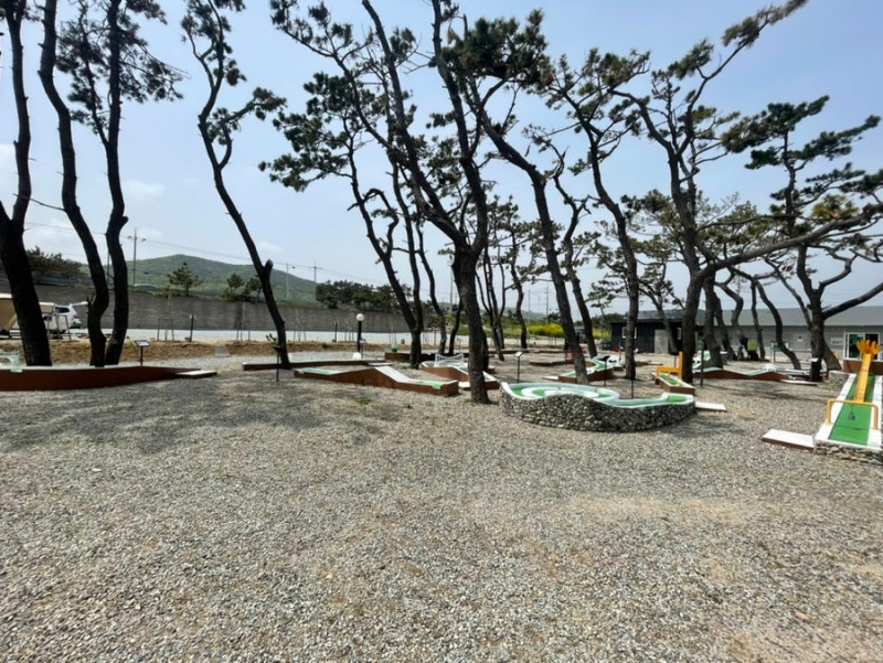 포항 오션뷰 캠핑장 더자리캠핑장 솔직후기 및 명당 네이버 블로그