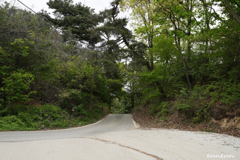 강화도 캠핑장 감성 그득했던 서울근교글램핑 어반티지 글램핑 카라반 네이버 블로그