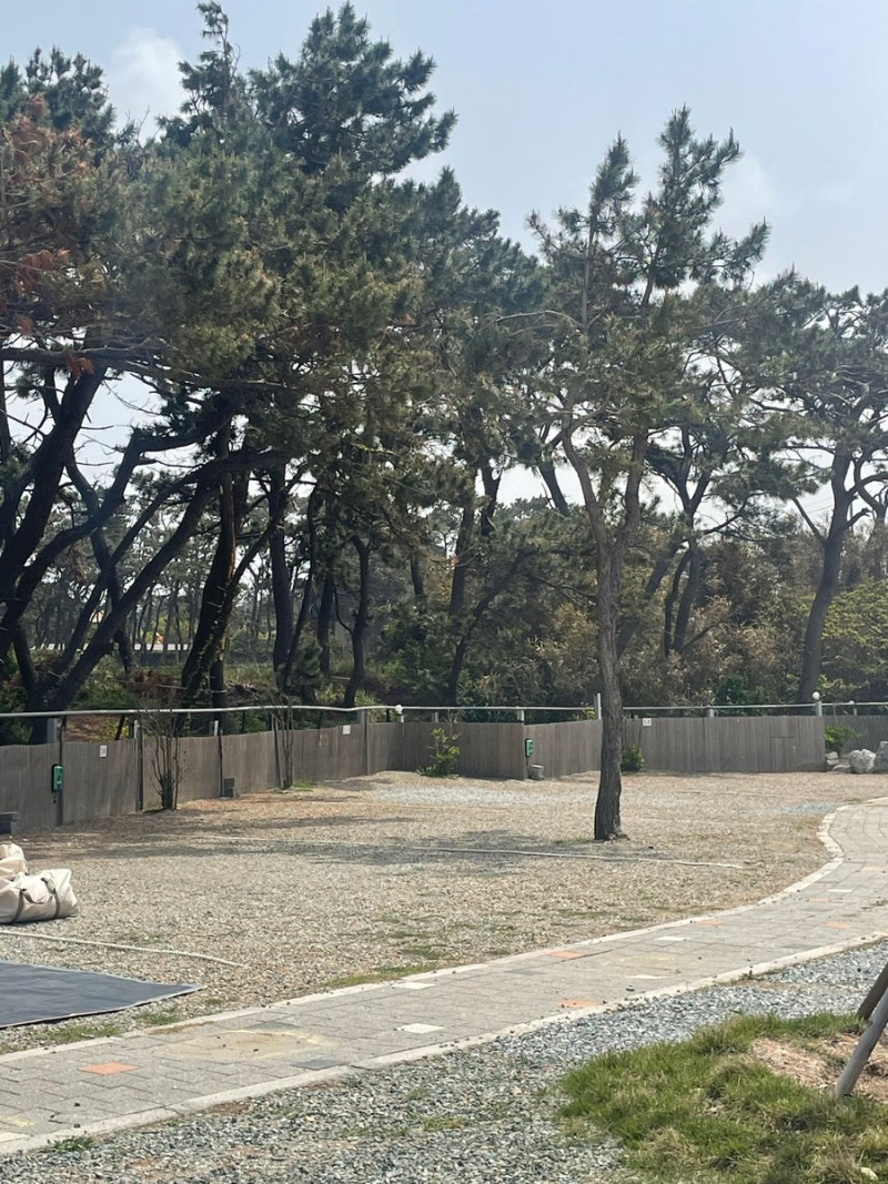 포항 오션뷰 캠핑장 더자리캠핑장 솔직후기 및 명당 네이버 블로그