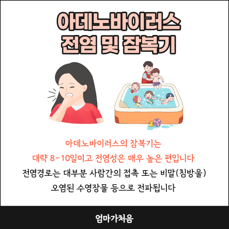 아데노바이러스 증상 성인 어린이집 눈곱 전염 잠복기 검사방법 비용 네이버 블로그
