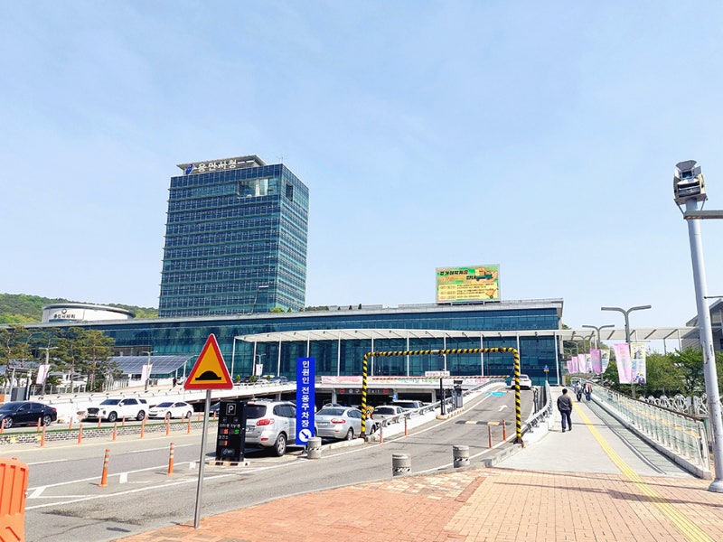 경기도 용인 석성산 용인시청 시작 1코스 등산 초보에게 추천 등산코스 주차 정보 네이버 블로그