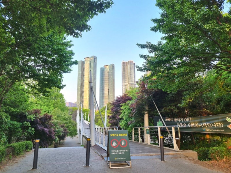 서울숲 튤립 위치 서울 꽃구경 나들이 힐링 제대로~ 네이버 블로그