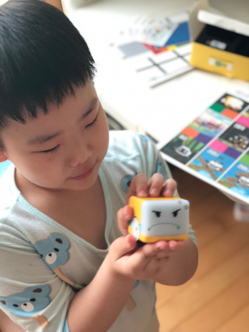 로보로보 코딩로봇 로이ro E로 초등코딩 홈스쿨링으로 시작해요 네이버 블로그