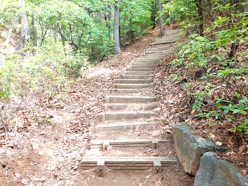 경기도 용인 석성산 용인시청 시작 1코스 등산 초보에게 추천 등산코스 주차 정보 네이버 블로그