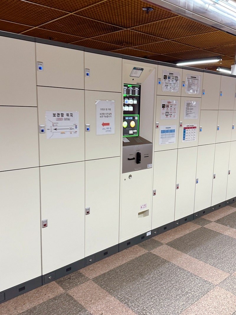 부산 민주공원 중앙공원 겹벚꽃 실시간 개화 : 네이버 블로그