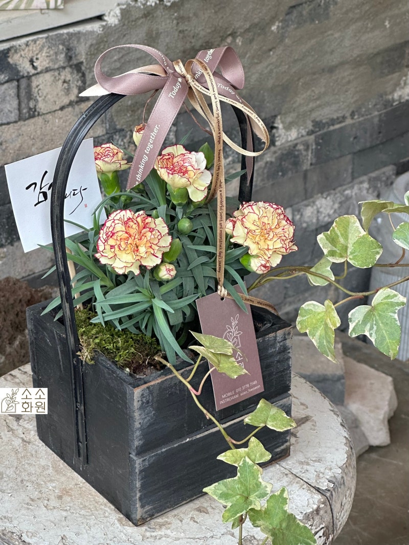 2023 어버이날 생화카네이션 5탄 하남미사꽃집 미사꽃집 하남카네이션 오랫동안 키울 수 있는카네이션화분 생화카네이션