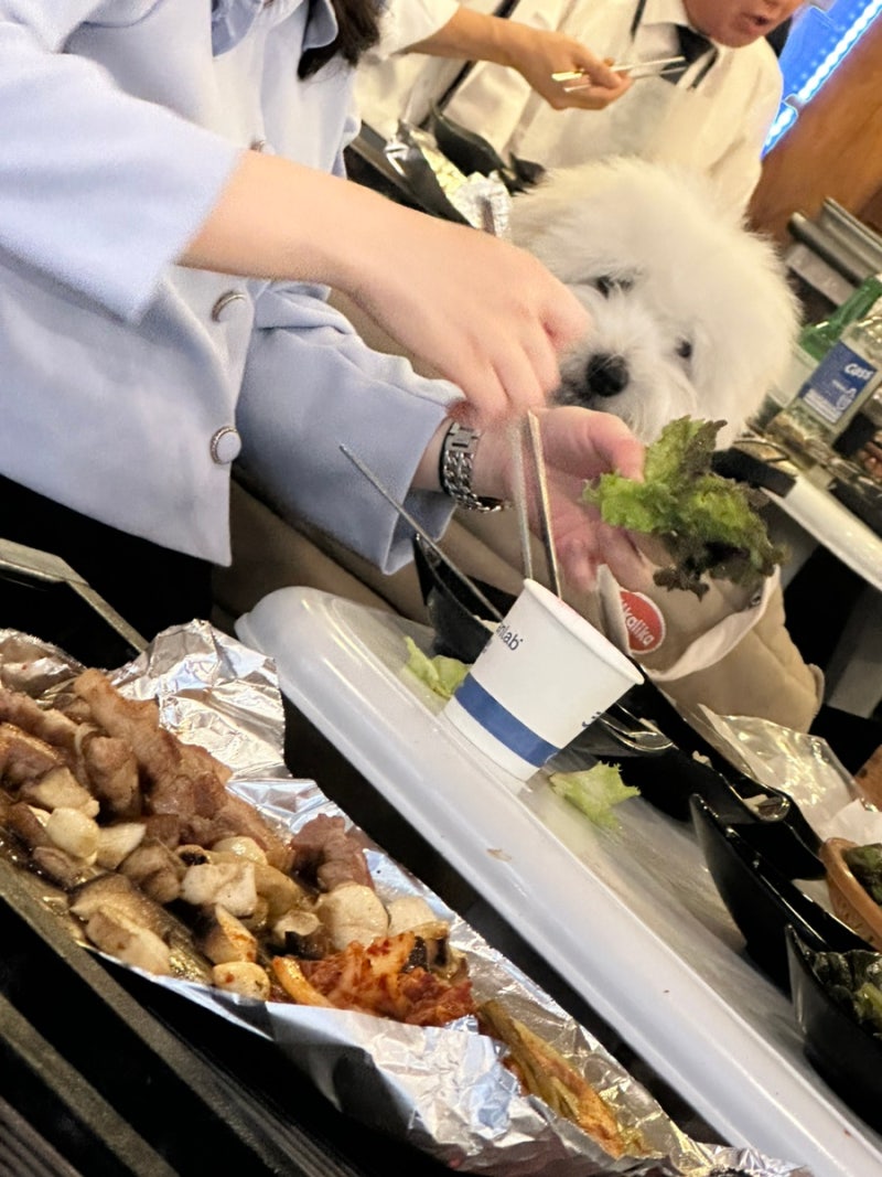 하남 둔촌오륜역 캠핑분위기 소고기집 천년소나무” 네이버 블로그