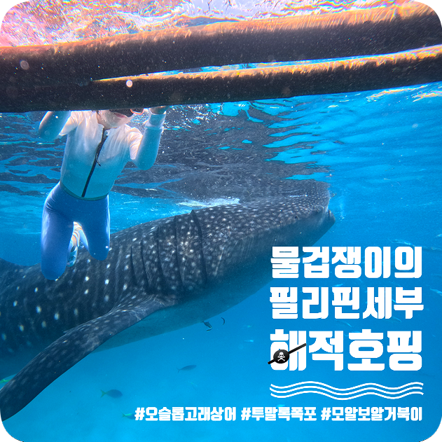 필리핀 세부 자유여행 Day 1 해적호핑 남부투어 이용후기오슬롭 고래상어투어투말록폭포모알보알호핑 패키지 네이버 블로그