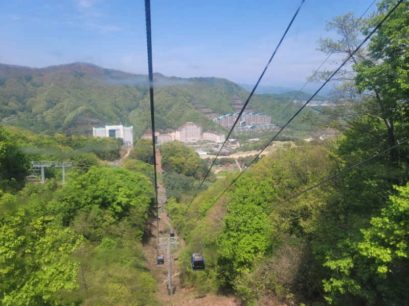 홍천비발디파크 곤돌라 스카이스윙 솔직후기 네이버 블로그