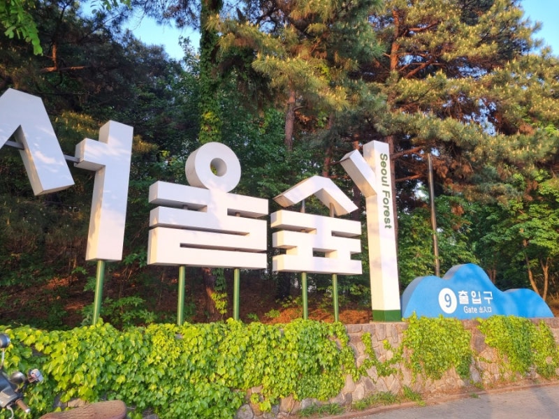 서울숲 튤립 위치 서울 꽃구경 나들이 힐링 제대로~ 네이버 블로그