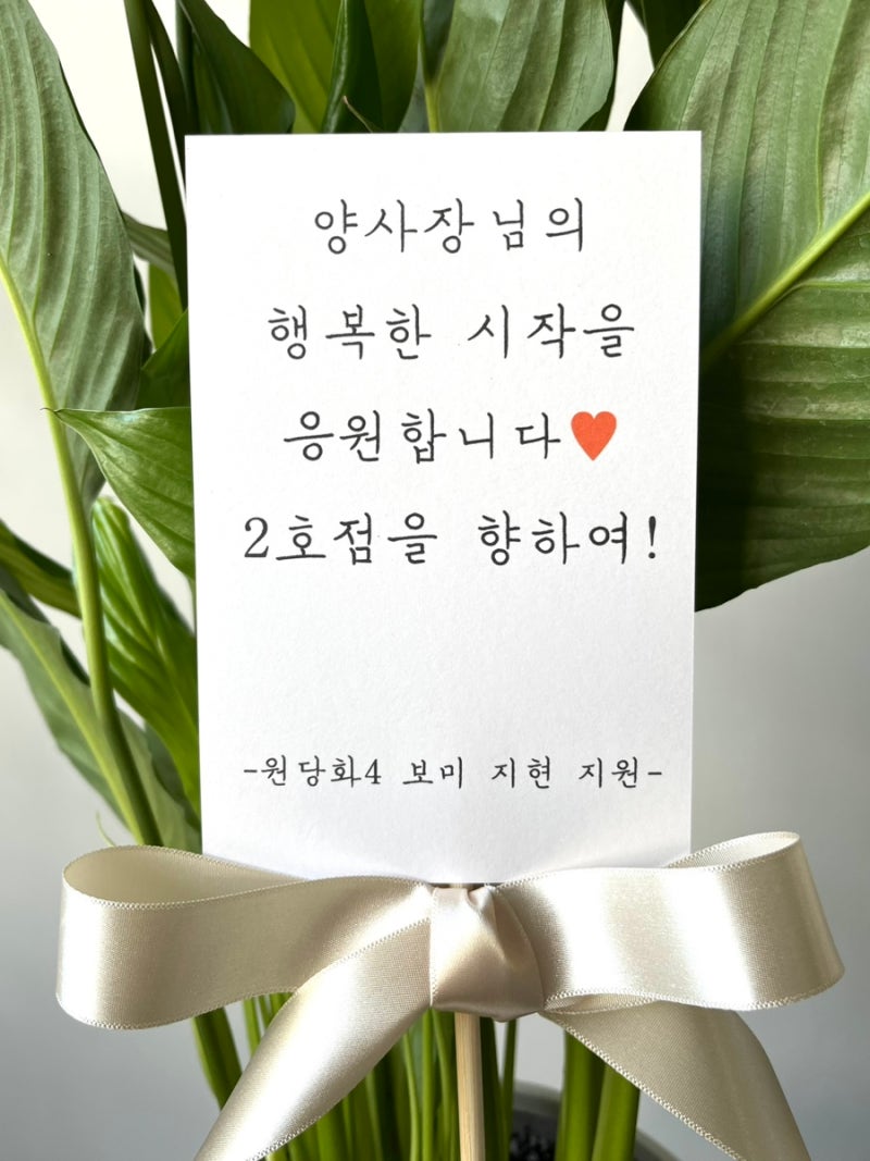 삼월의숲 인천식물가게 청라화원 청라화분 청라개업화분 루원시티개업화분 인천개업화분 검단개업화분 검단화분 송도개업