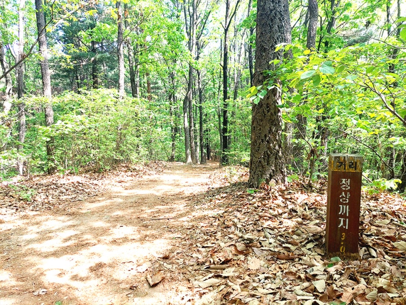 경기도 용인 석성산 용인시청 시작 1코스 등산 초보에게 추천 등산코스 주차 정보 네이버 블로그