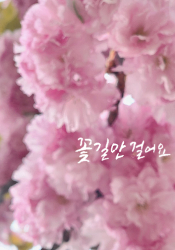 가정의 달 문구 직접 써서 전해요😉 캘리그라피 연습 워크북 네이버 블로그