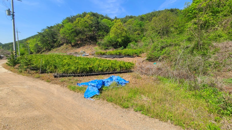 화순읍25분거리 풍경좋은 위치의 농막부지전원주택부지 매매화순군 사평면전2674㎡계획관리지역매매가 1억7천8백만화순