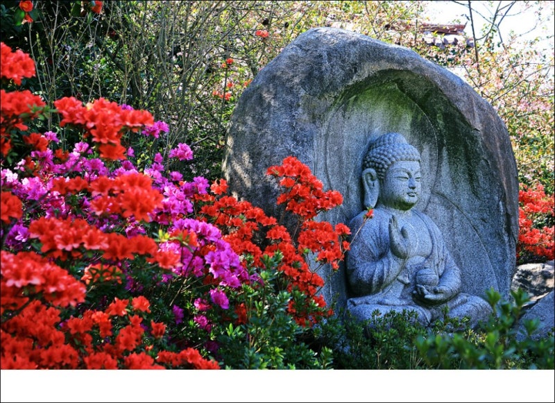 강진 가볼만한곳 전국유명사찰 유명한절 강진여행 무위사 남미륵사 옴천사 전남여행지 추천 드라이브코스 네이버 블로그