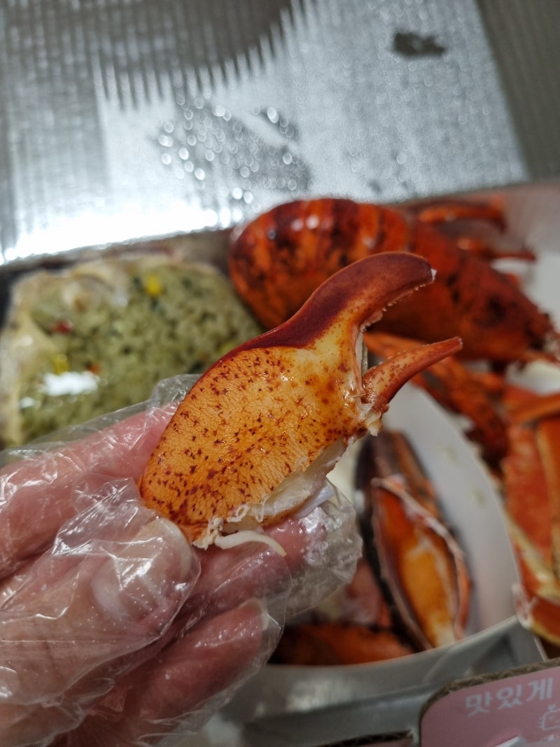 대전 대게 랍스터 맛집 봉명동 어서오시게 대전유성점 네이버 블로그
