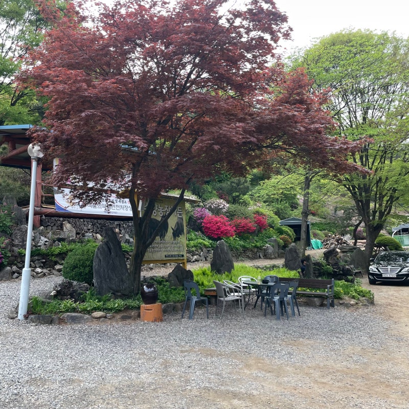 곤지암 맛집 몸보신에 좋은 흑염소 요리 전문 수양농장가든 흑염소전골 흑염소곱창 흑염소구이 네이버 블로그