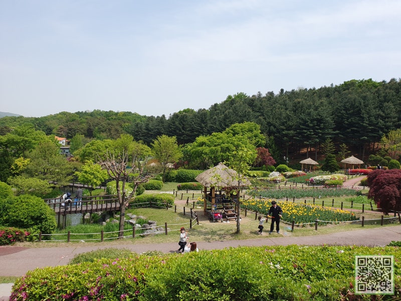 용인 농촌테마파크 아이들과 가볼만한곳 데이트코스 추천 네이버 블로그
