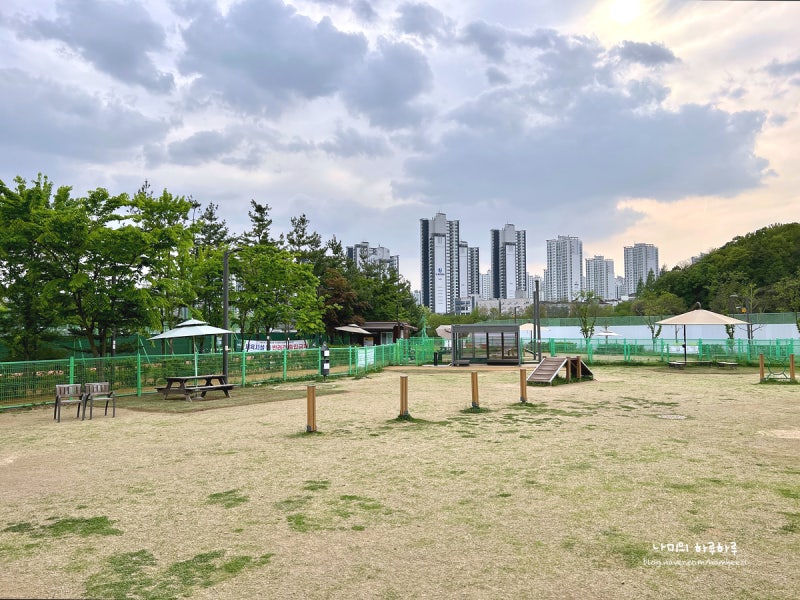 반려견 산책하기 좋은 동탄 여울공원 애견 놀이터 주차 음악분수 네이버 블로그