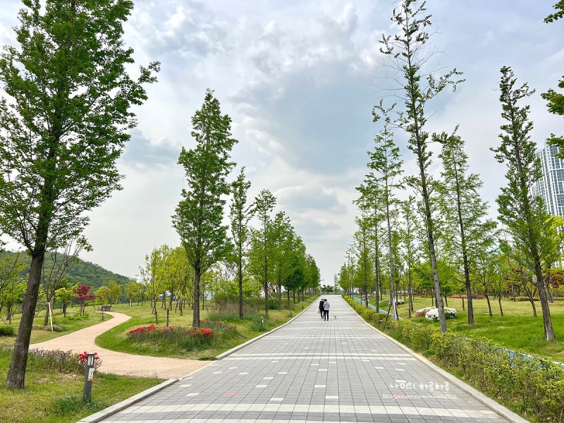 반려견 산책하기 좋은 동탄 여울공원 애견 놀이터 주차 음악분수 네이버 블로그