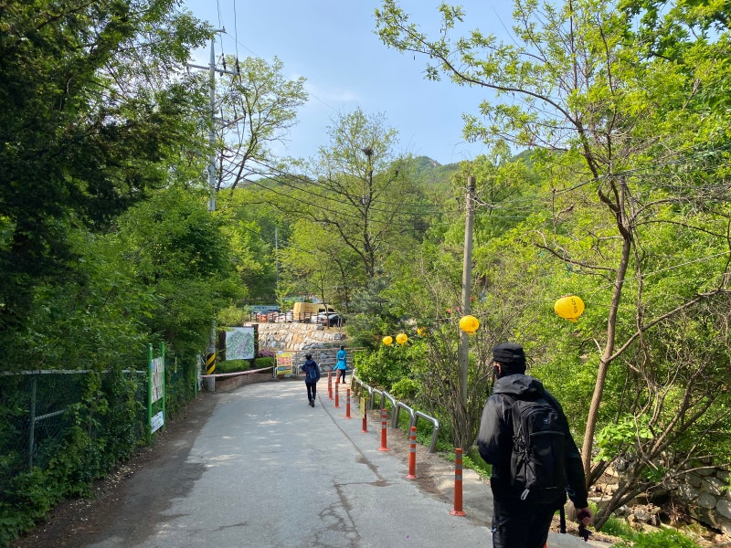 관악산 사당능선 코스 등산초보 등린이 추천 네이버 블로그