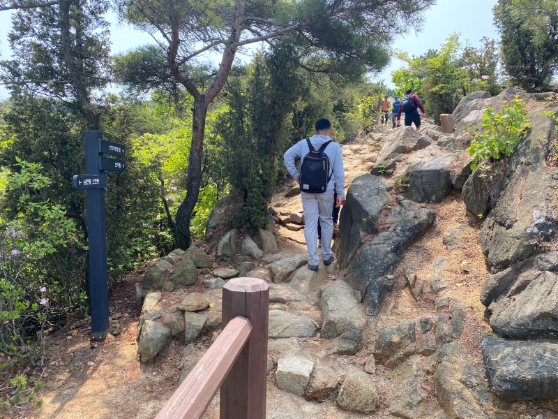 관악산 사당능선 코스 등산초보 등린이 추천 네이버 블로그