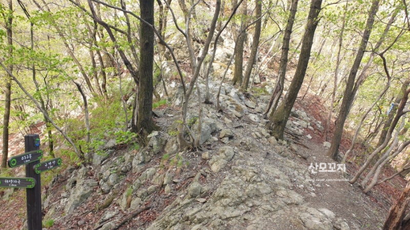 충북 보은 구병산 최단코스 등산코스 구병리 2코스 ️정상 ️1코스 네이버 블로그