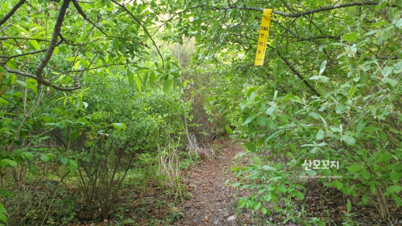 충북 보은 구병산 최단코스 등산코스 구병리 2코스 ️정상 ️1코스 네이버 블로그