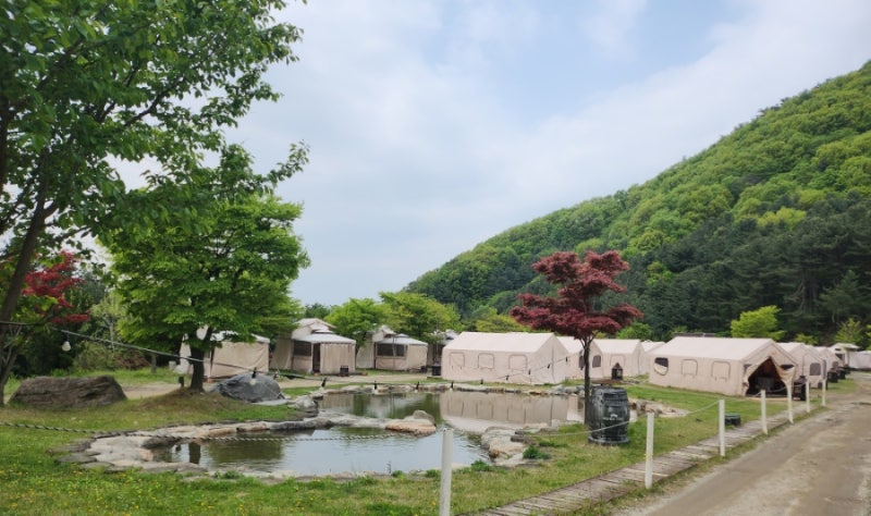 가평 글램핑클럽레스피아 초등 아이들이 좋아하는 복층 글램핑 네이버 블로그