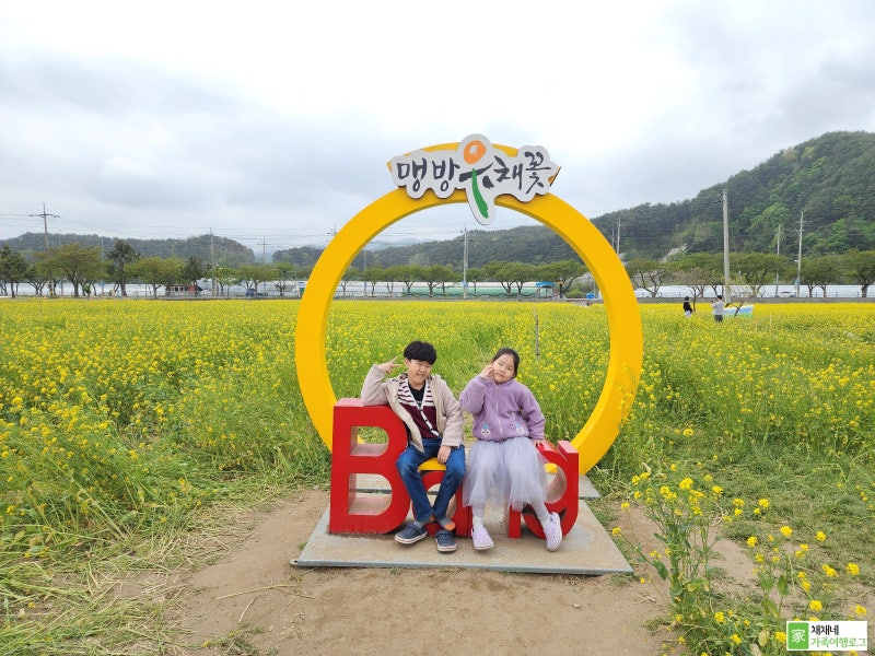 강원도 삼척 여행코스 맹방유채꽃축제 볼거리 관광지 가볼만한곳 네이버 블로그