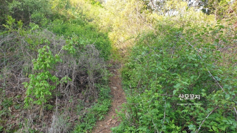 충북 보은 구병산 최단코스 등산코스 구병리 2코스 ️정상 ️1코스 네이버 블로그