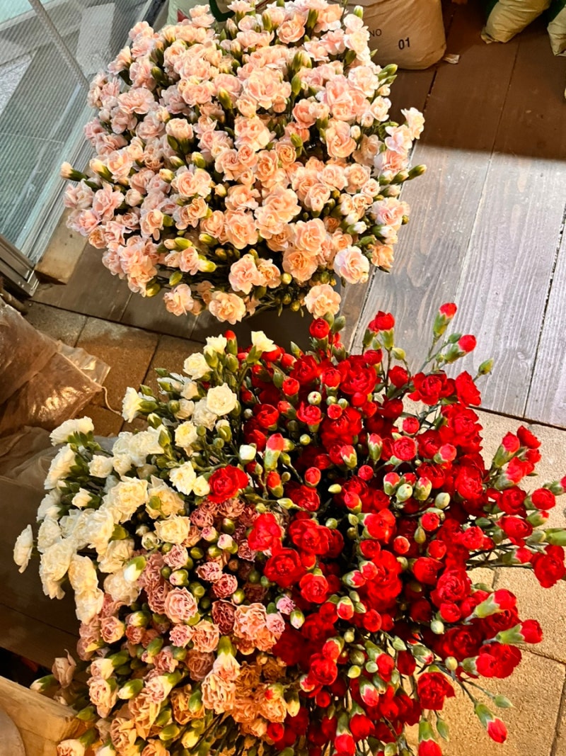 양산꽃집물금꽃집삽질하는꽃쟁이의 월요일의 새로운꽃가득입니다증산꽃집양산꽃집물금꽃집가촌꽃집 네이버 블로그