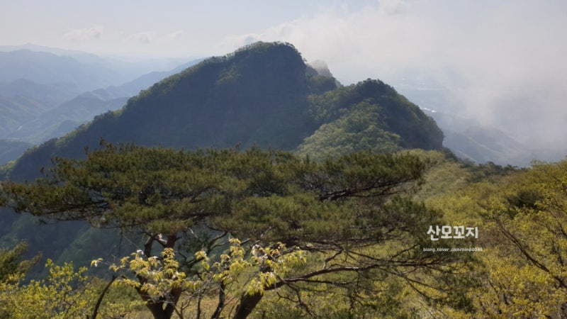 충북 보은 구병산 최단코스 등산코스 구병리 2코스 ️정상 ️1코스 네이버 블로그