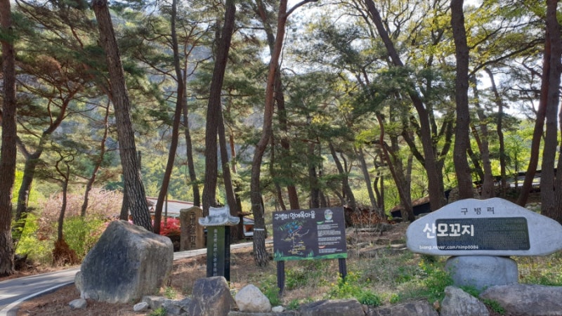 충북 보은 구병산 최단코스 등산코스 구병리 2코스 ️정상 ️1코스 네이버 블로그