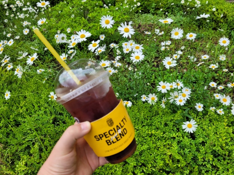 임산부 카페인 커피 마셔도 될까 권장량과 주의사항 네이버 블로그