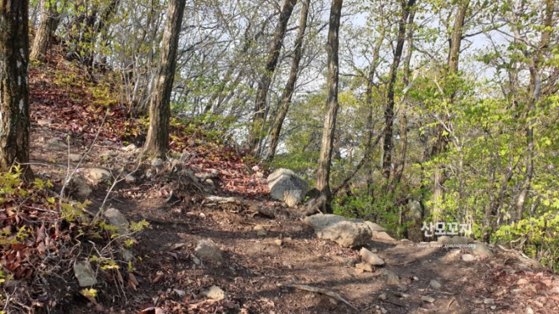 충북 보은 구병산 최단코스 등산코스 구병리 2코스 ️정상 ️1코스 네이버 블로그