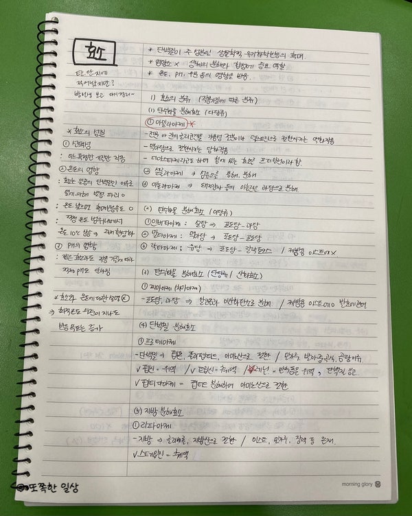 제과기능사 필기 독학 어떻게 하면 될까 제과 제빵기능사 필기시험공부방법 내돈내산 문제집 추천 기초과학부터 제과