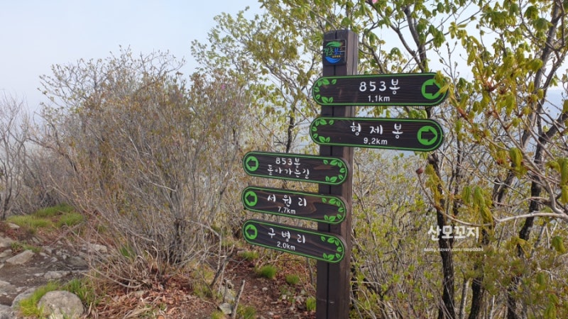 충북 보은 구병산 최단코스 등산코스 구병리 2코스 ️정상 ️1코스 네이버 블로그